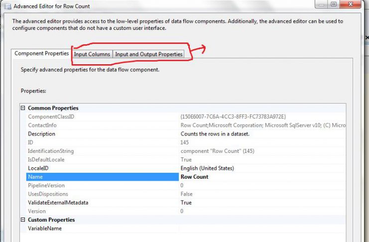 What is the use of Input columns tab in RowCount transformation | Msbi ...